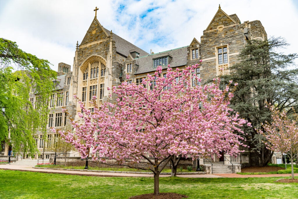 About Us | Georgetown Research Services | Georgetown University